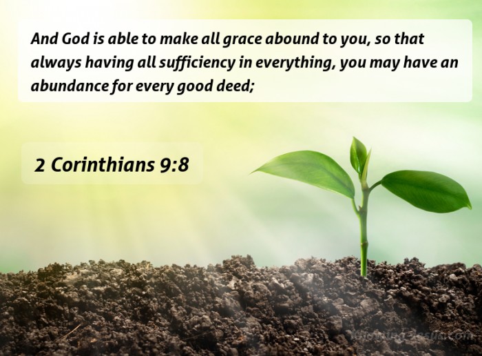 19 Bible verses about Abundance